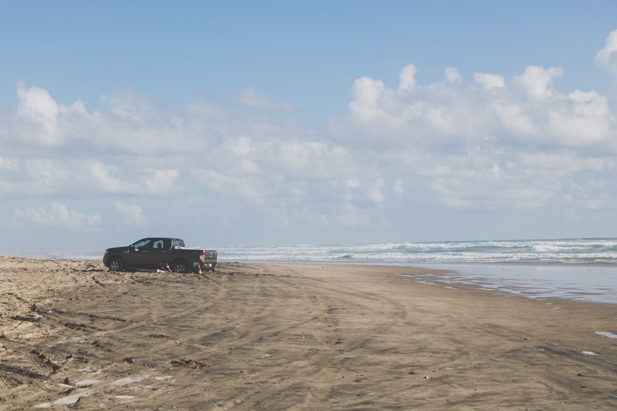 Le Northland - Sur la route des Kauris - Louise Voyage